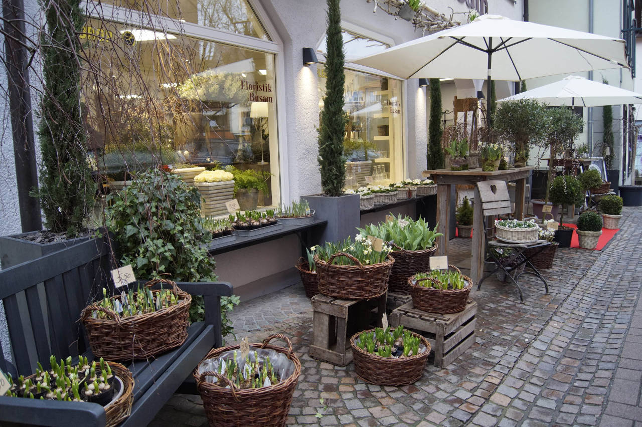 Das Blumenhaus Busam hat wieder geöffnet - Blumenhaus Busam